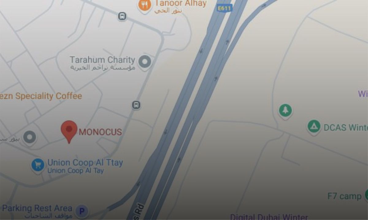 What are the Delivery Options and Estimated Delivery Times for Dubai?– Wesouq By Monocus